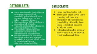 bone presentation.pptx
