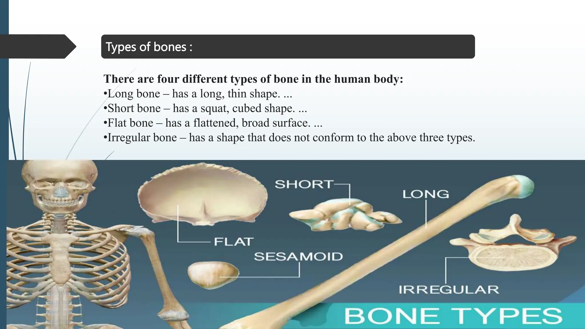 BONE presentation in medical lab sciences | PPTX