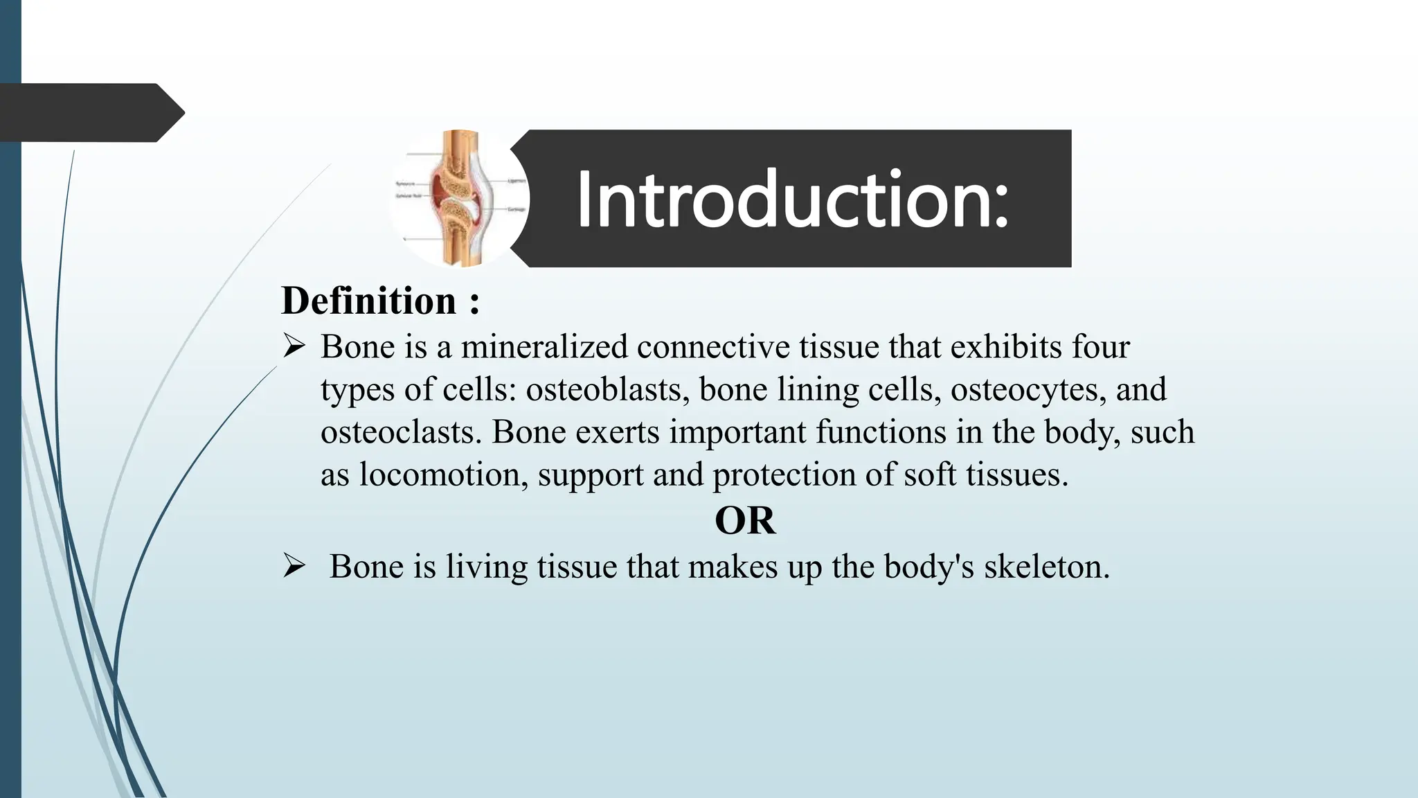 BONE presentation in medical lab sciences | PPTX
