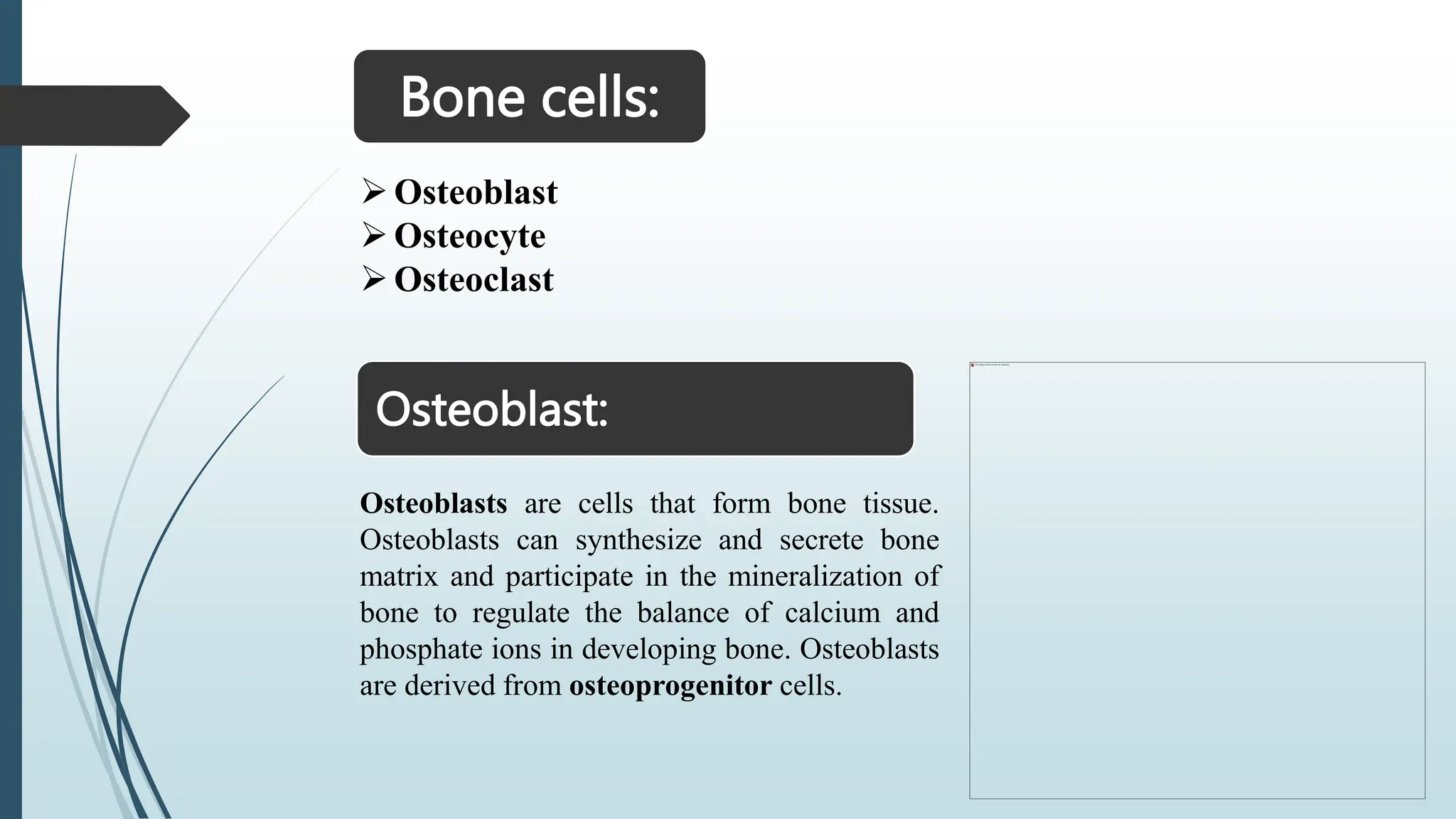 BONE presentation in medical lab sciences | PPTX
