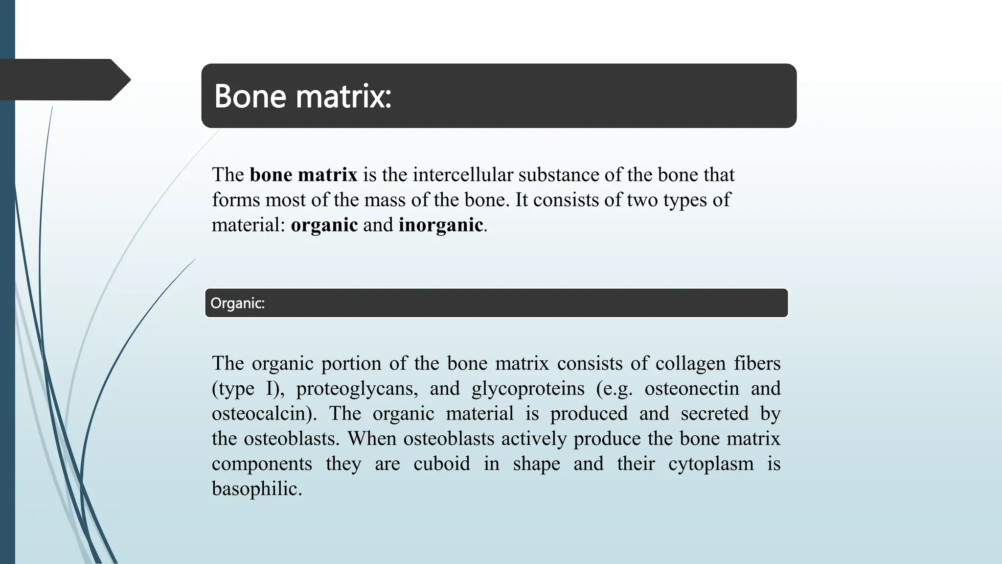 BONE presentation in medical lab sciences | PPTX