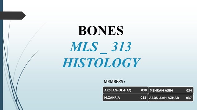 BONE presentation in medical lab sciences | PPT | Free Download