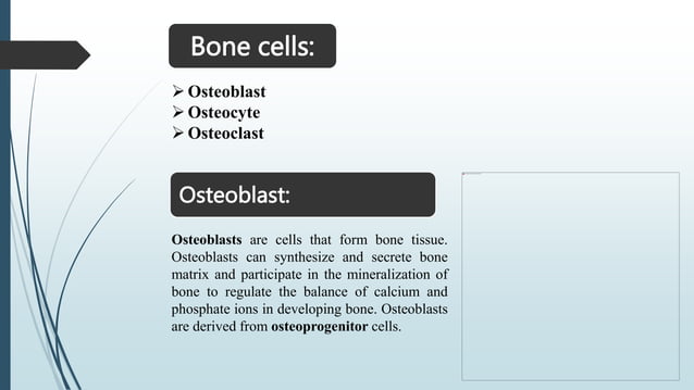 BONE presentation in medical lab sciences | PPT