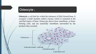 BONE presentation in medical lab sciences | PPTX