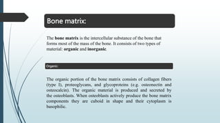 BONE presentation in medical lab sciences | PPTX