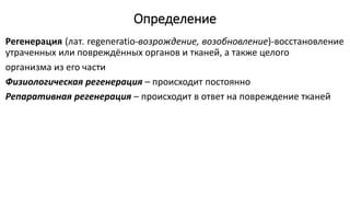 Bone regeneration | PDF