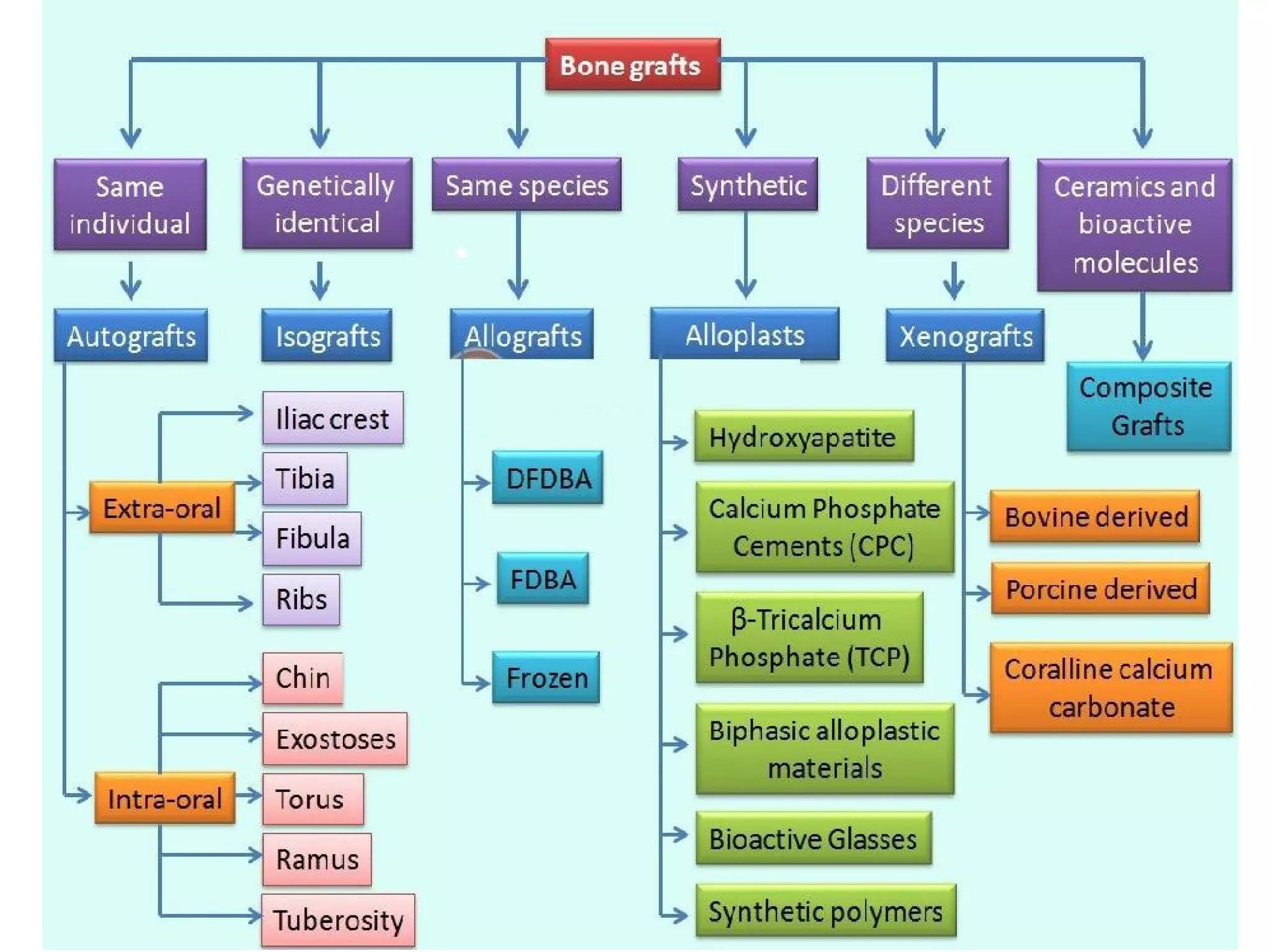 Bone regeneration and substitutes | PPT