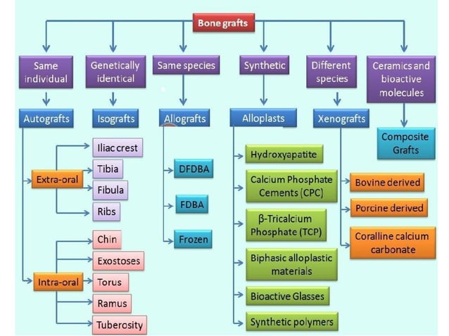 Bone regeneration and substitutes | PPT | Bone and Joint Conditions ...