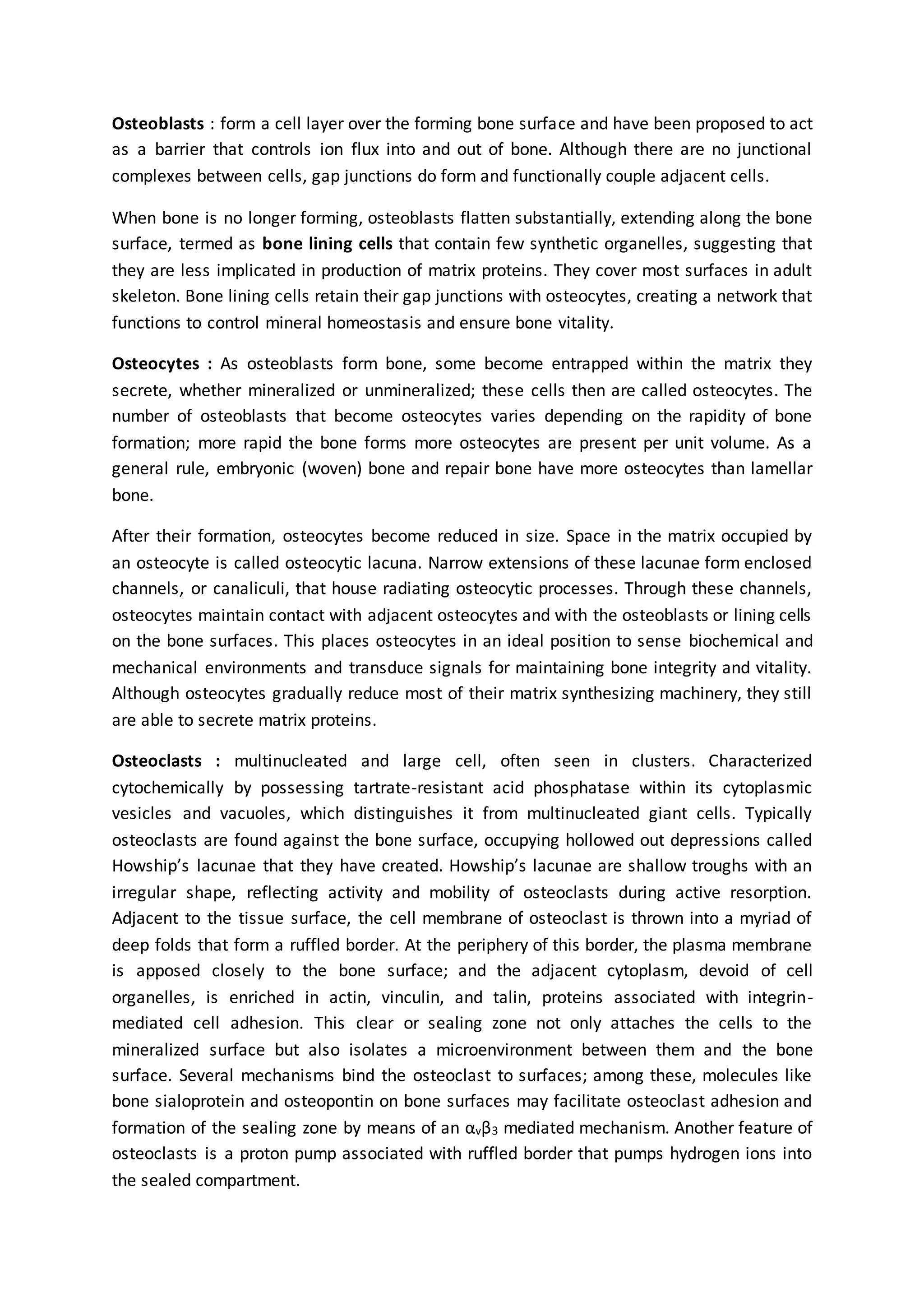 Bone remodelling and types of bone | DOCX