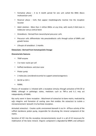 Bone remodelling and types of bone | DOCX