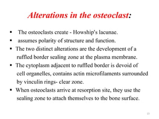 Bone Resorption Pattern.pptx