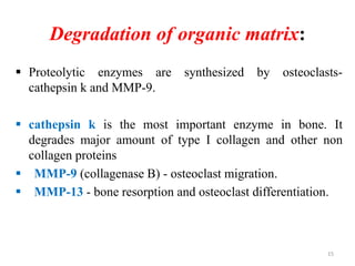 Bone Resorption Pattern.pptx