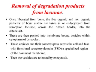 Bone Resorption Pattern.pptx