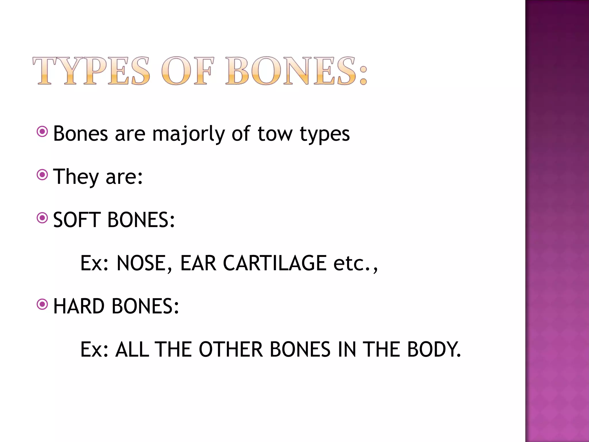 Bones | PPT