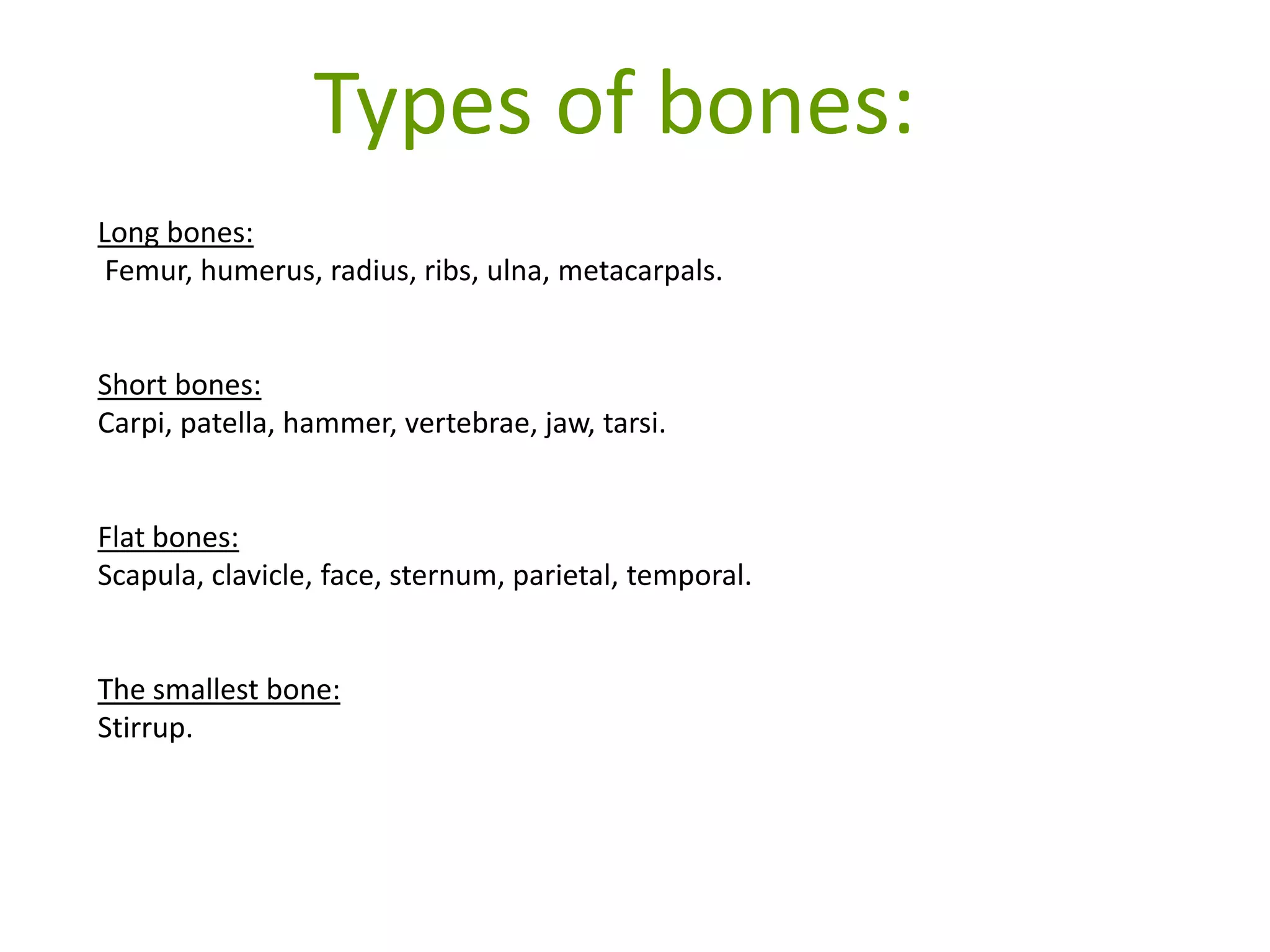 Bones | PPTX