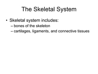 Bones | PPT