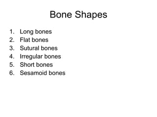 Bones | PPT
