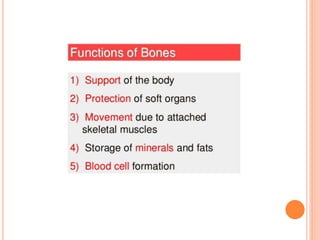Bones(musculoskeletal system) | PPT