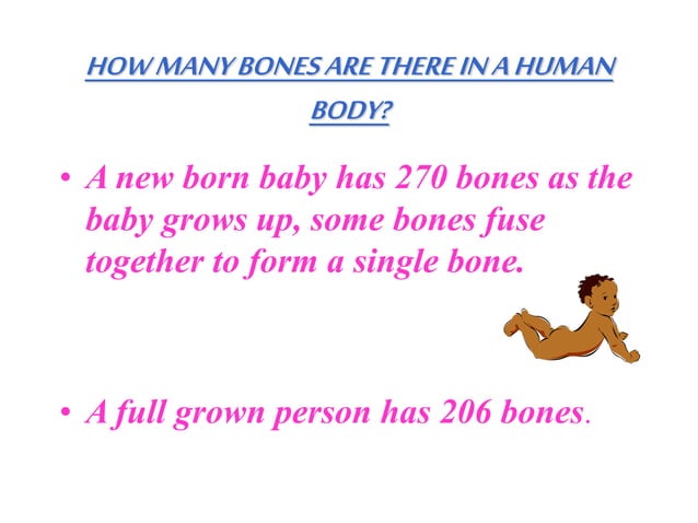 Bones | PPT