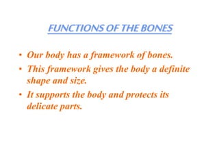 Bones | PPT