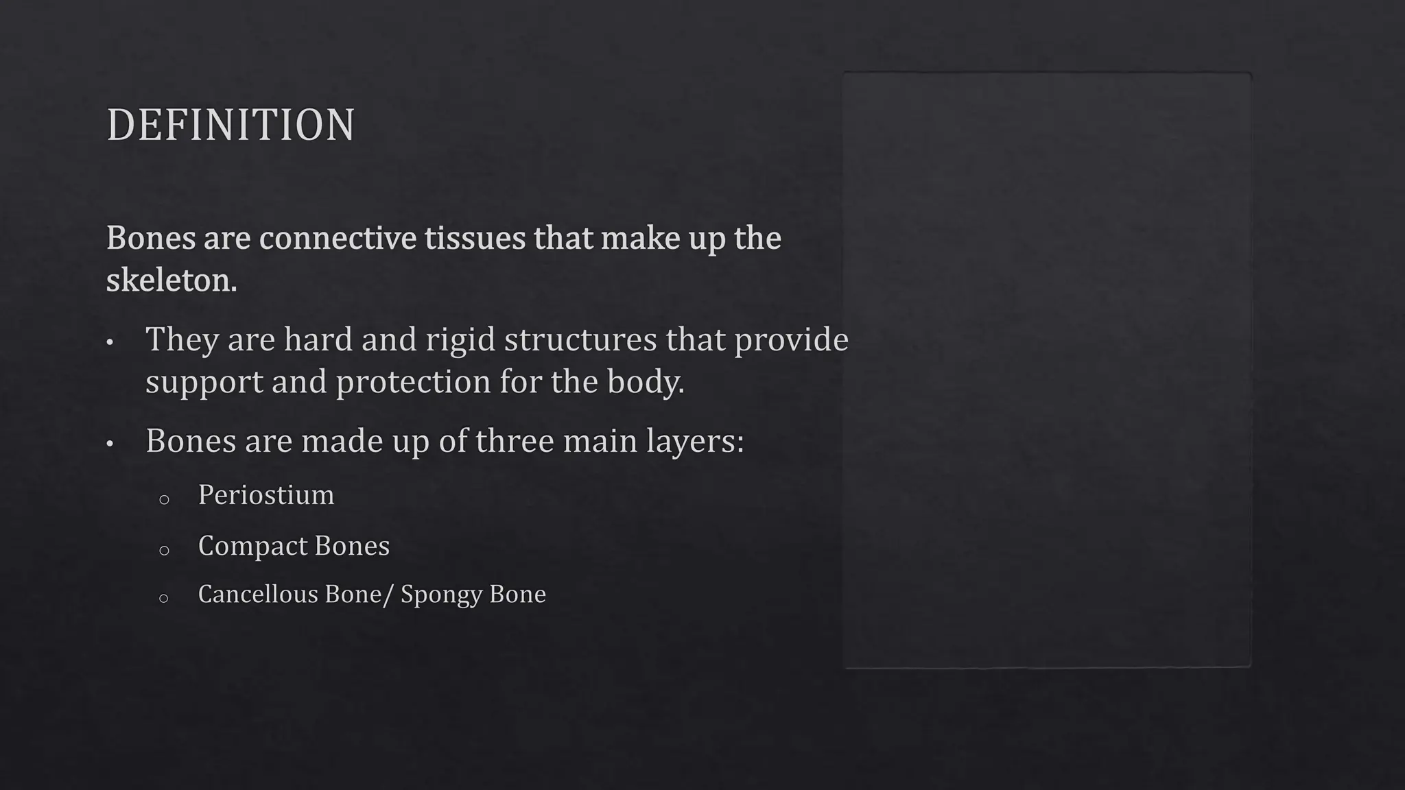 Introduction to Bones. Very precise intro to the Bones | PPT