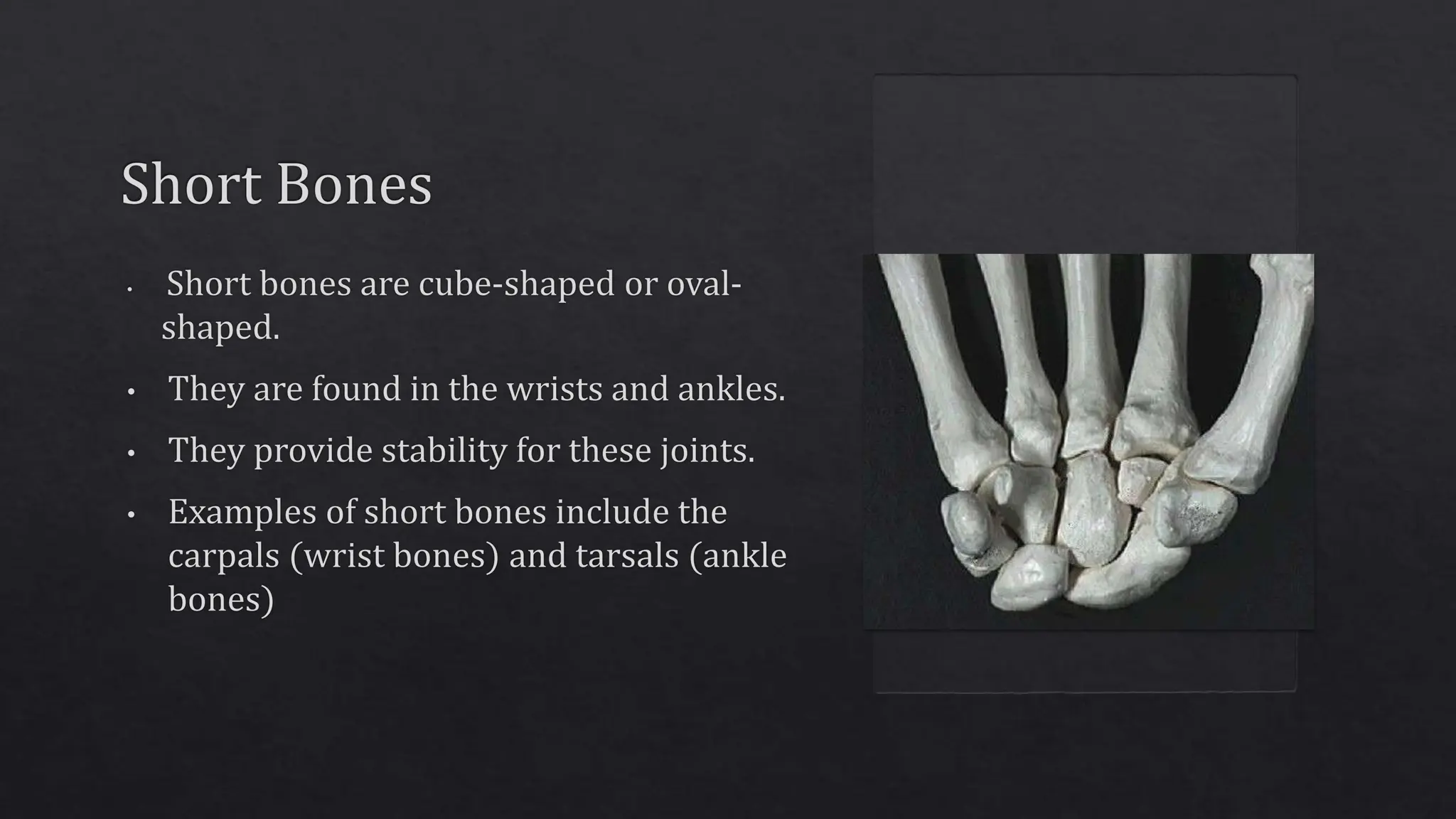 Introduction to Bones. Very precise intro to the Bones | PPT