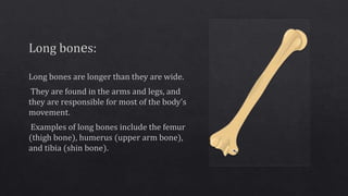 Introduction to Bones. Very precise intro to the Bones | PPT