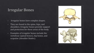 Introduction to Bones. Very precise intro to the Bones | PPT