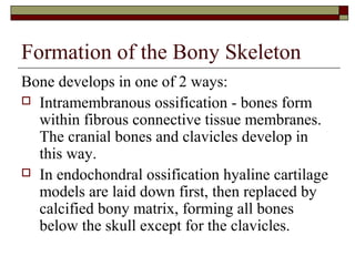 Bones and skeletal tissues 2014 | PPT