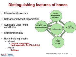 Bones 011910 | PPT