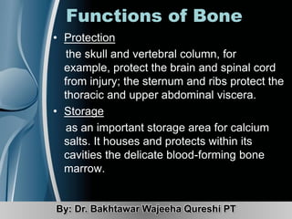 Anatomy of Bones | PDF