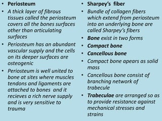 Bones anatomy | PPT