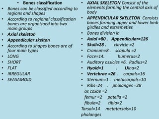 Bones anatomy | PPT
