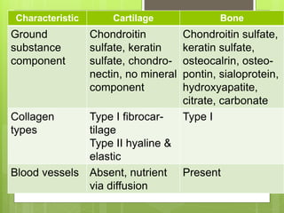 Bones and cartilage | PPTX