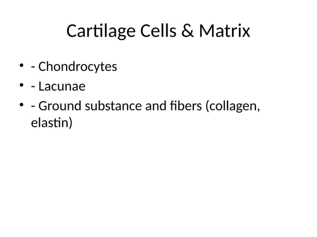 Anatomy of Bones_and_Cartilage_MBBS.pptx