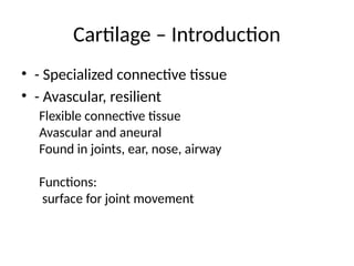 Anatomy of Bones_and_Cartilage_MBBS.pptx