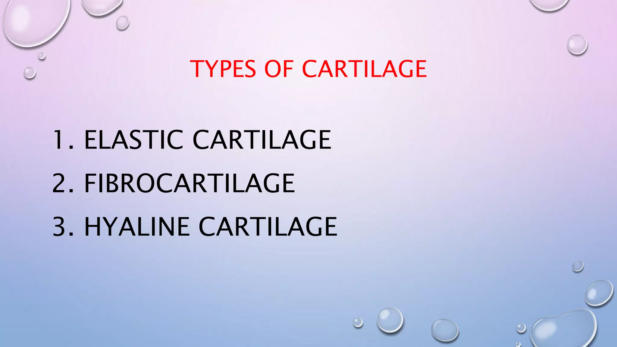 Bones and cartilages | PPTX