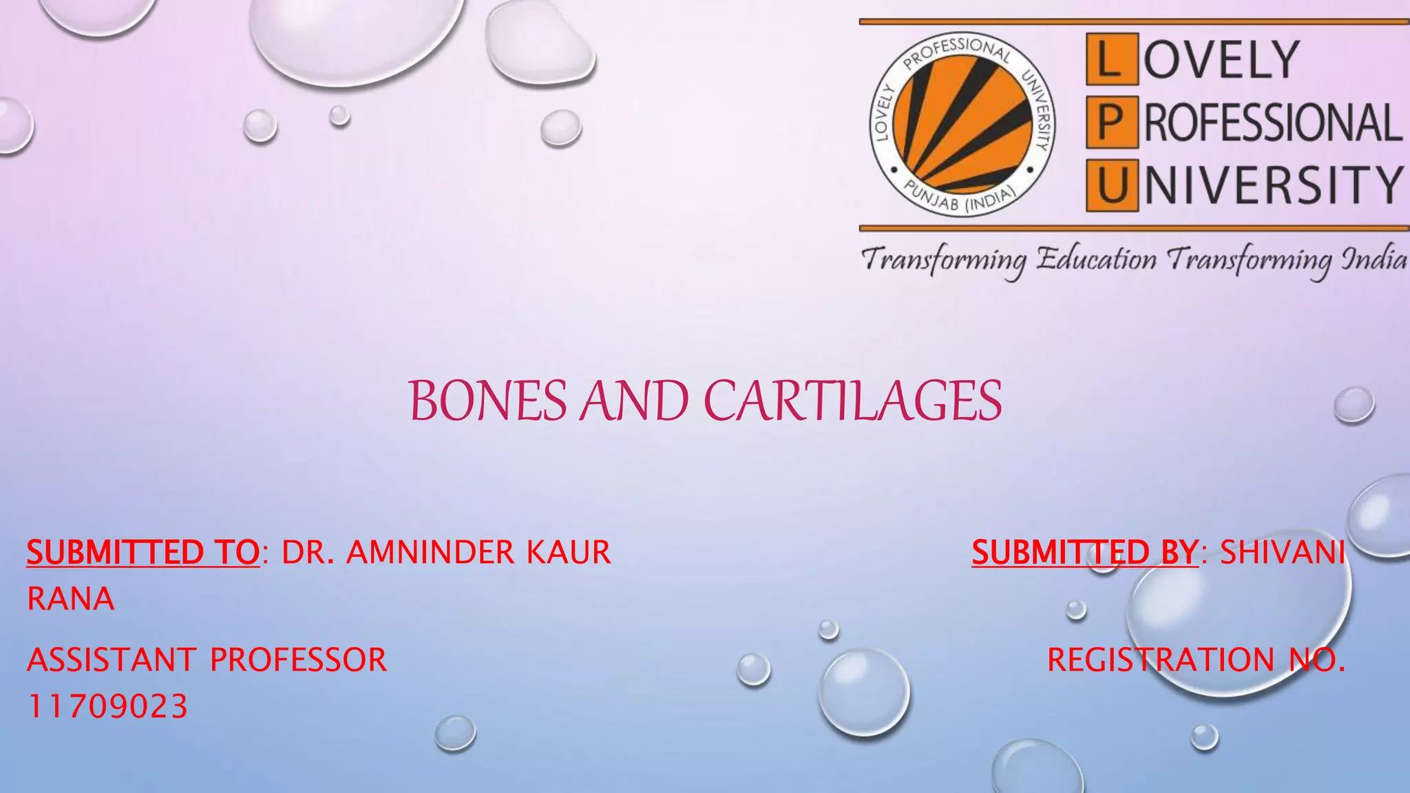 Bones and cartilages | PPT