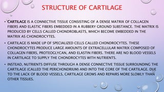 Bones and cartilages | PPTX