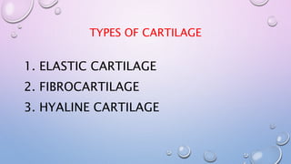 Bones and cartilages | PPTX