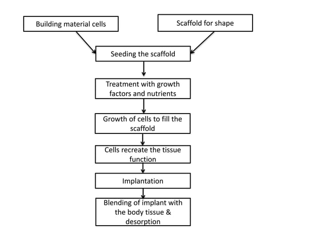 Bones and cartilages tissue engineering | PPTX | Bone and Joint ...
