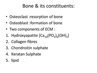 Bones and cartilages tissue engineering | PPTX
