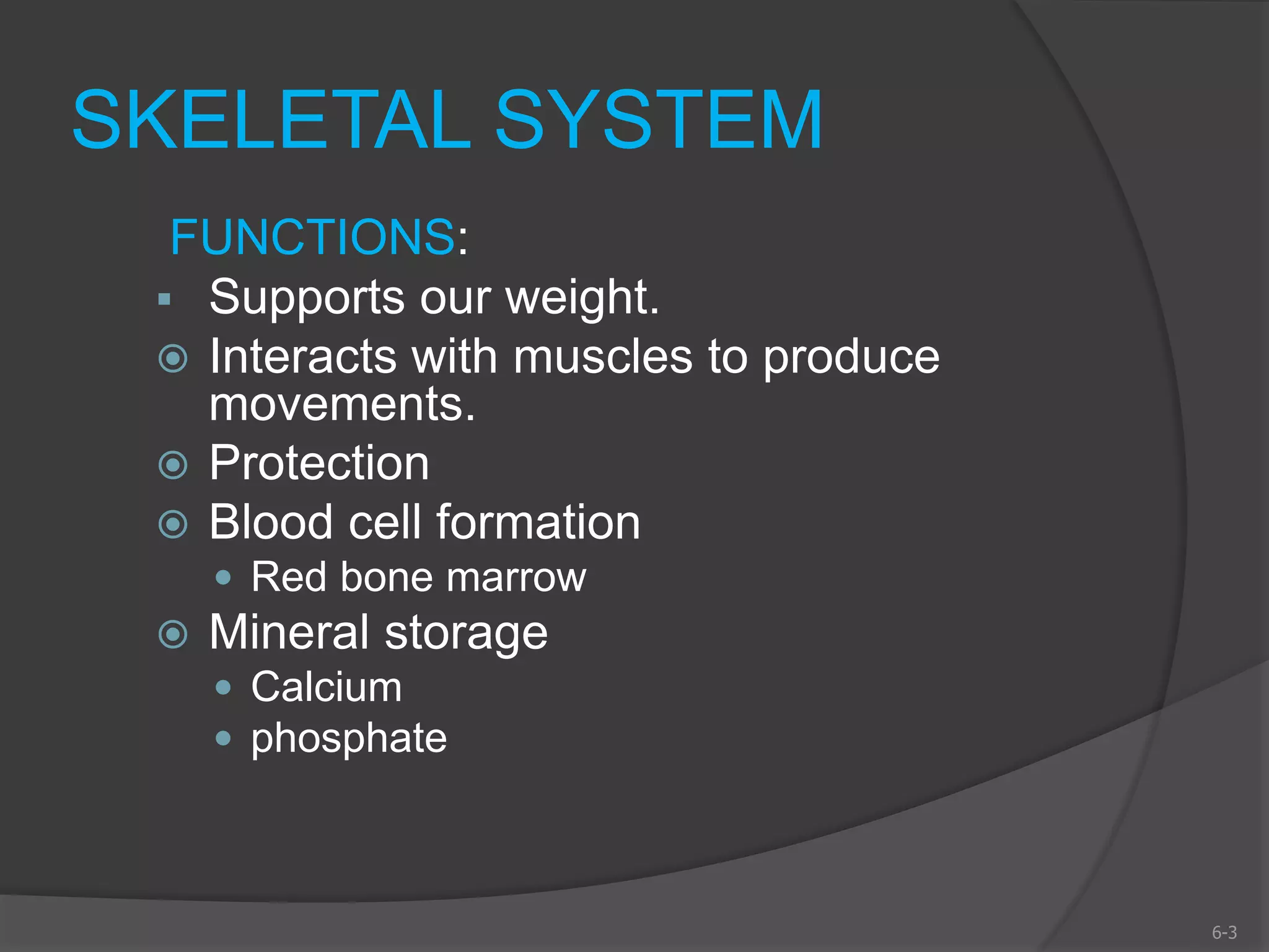 BONES AND CARTILAGES | PPT