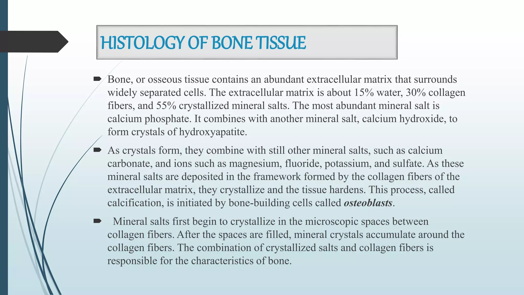 Bones and its structure in detail with two different form of bone ...