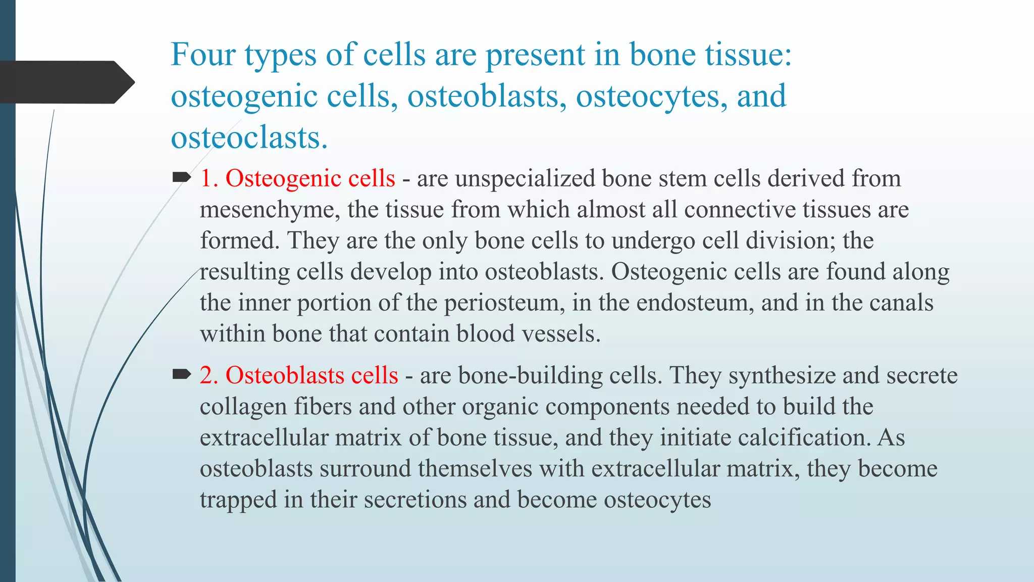 Bones and its structure in detail with two different form of bone ...