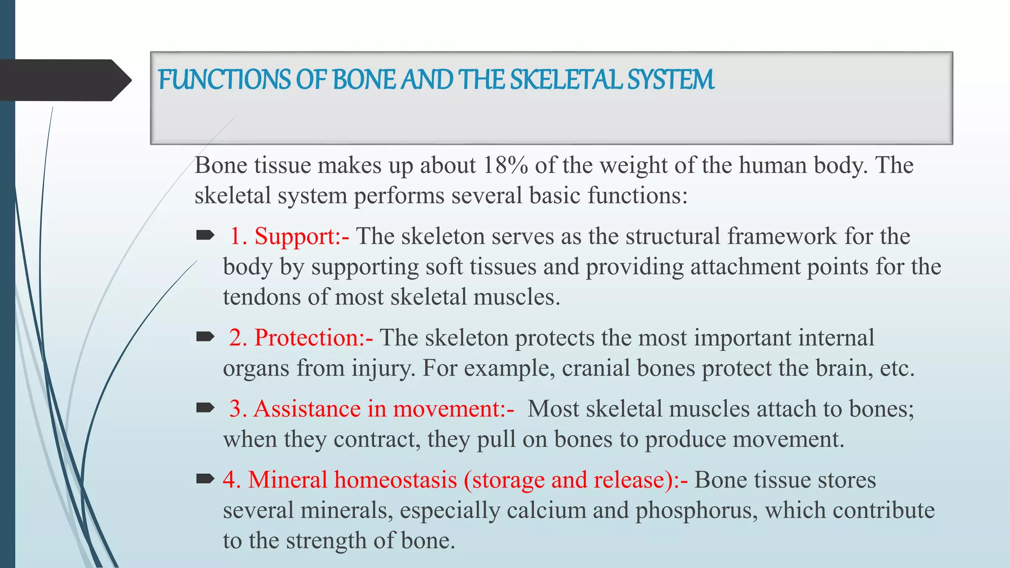 Bones and its structure in detail with two different form of bone formation | PPTX