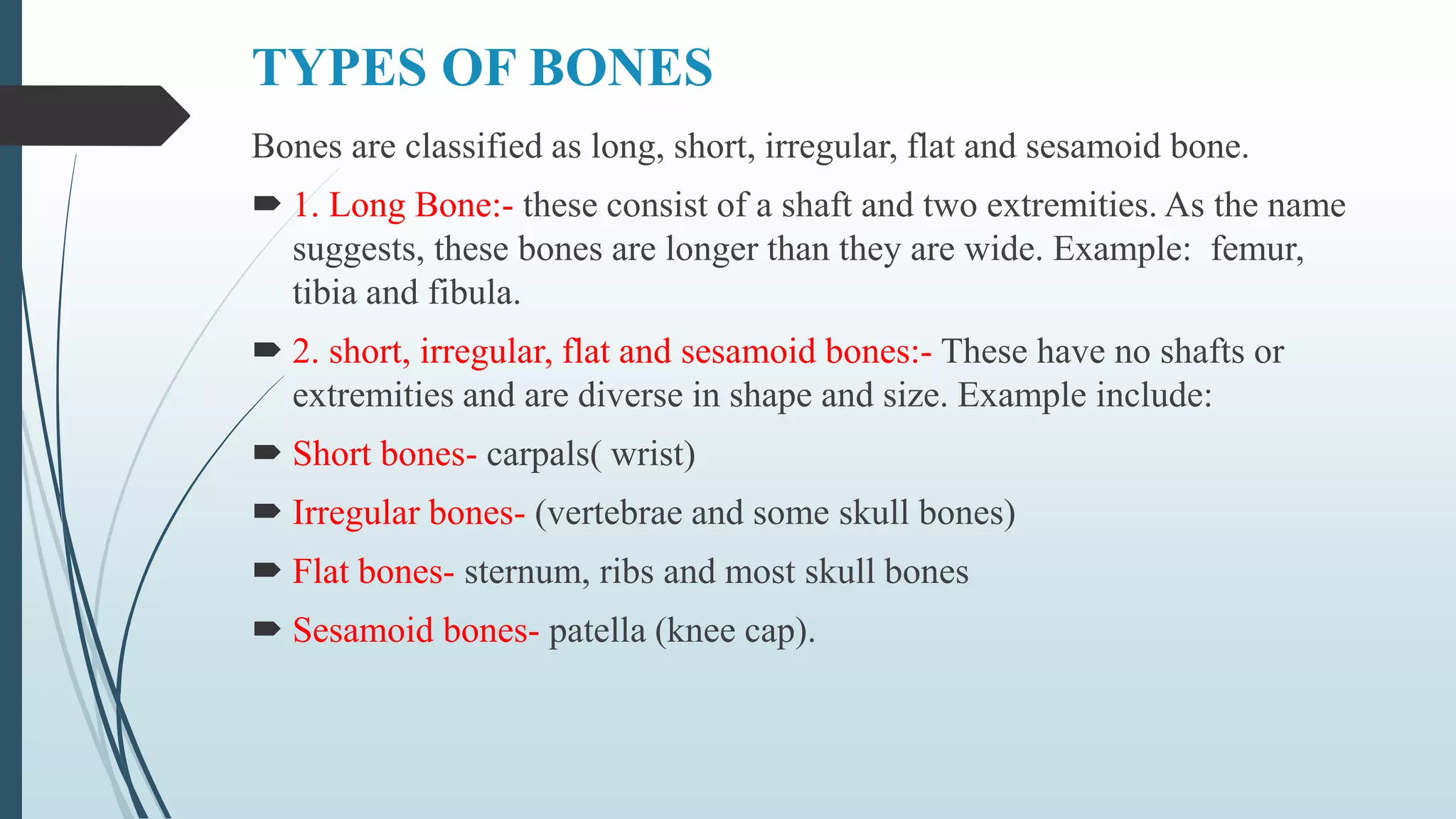 Bones and its structure in detail with two different form of bone ...