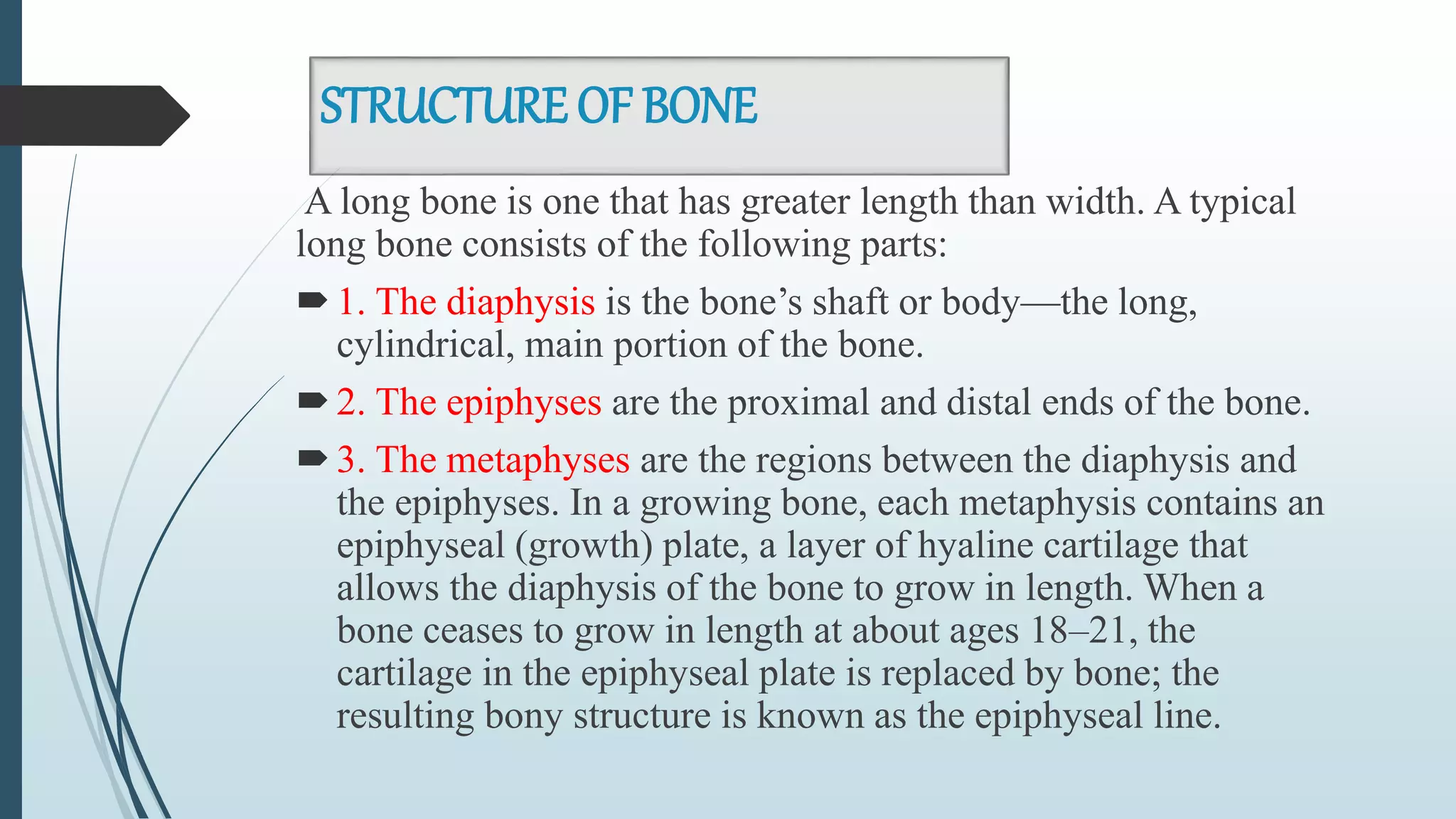 Bones and its structure in detail with two different form of bone ...