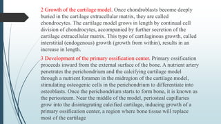 Bones and its structure in detail with two different form of bone ...