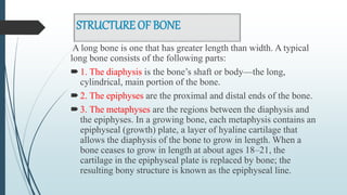 Bones and its structure in detail with two different form of bone ...